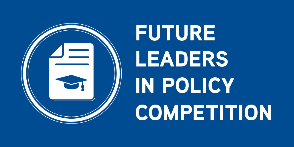 FLIP Application Instructions | Rockefeller Institute of Government