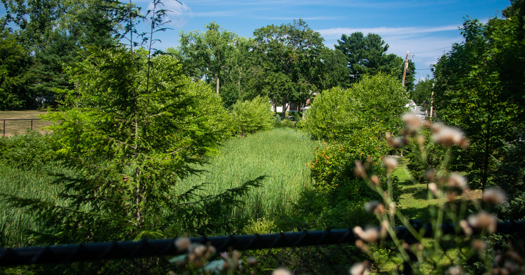 Greening Stormwater and Wastewater Systems: How Two Cities Invested In ...