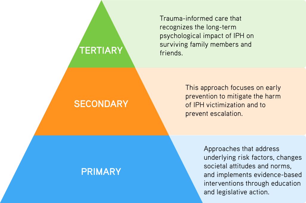 Understanding and Addressing Intimate Partner Homicide | Rockefeller ...